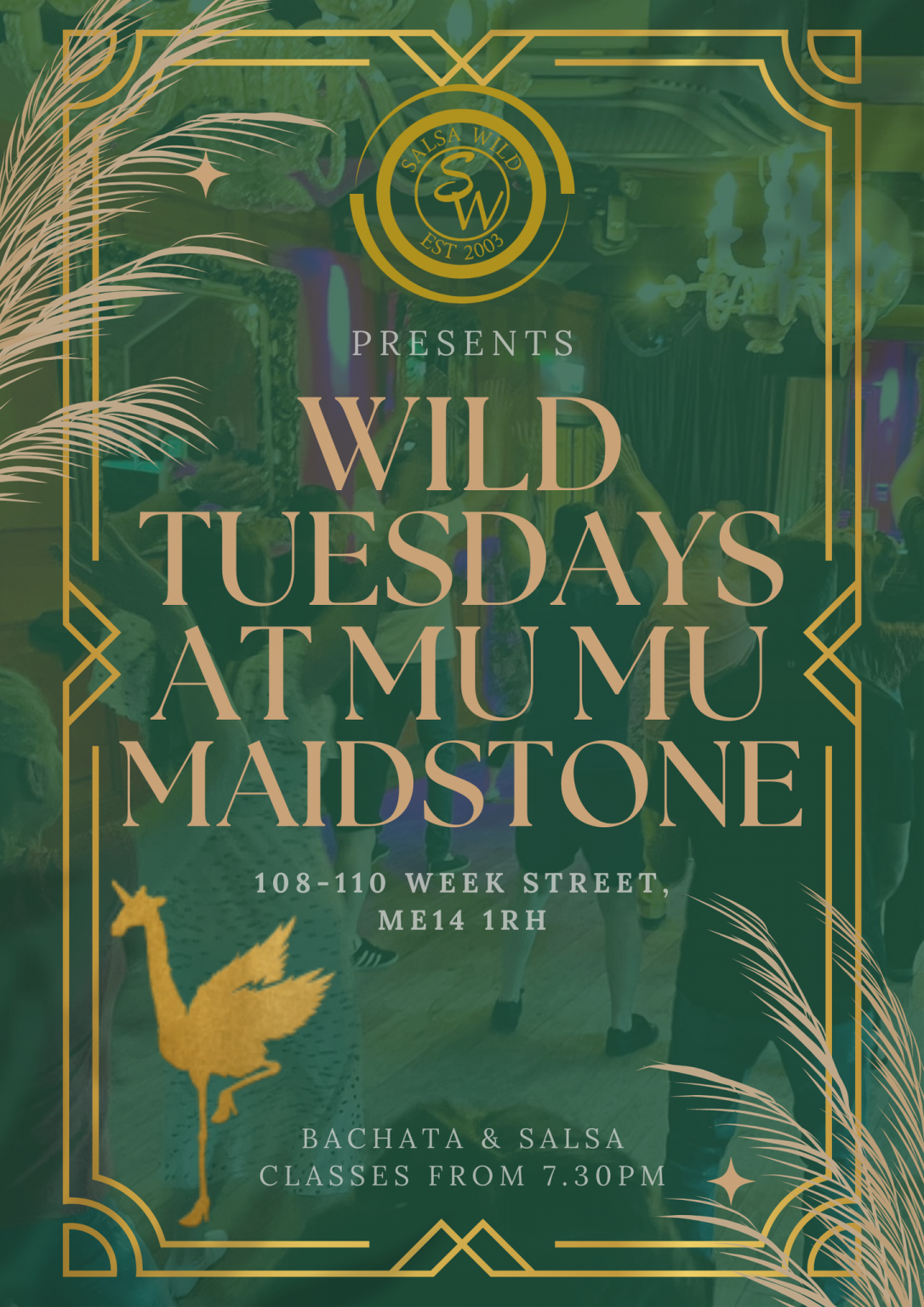 Classes - Salsa Wild